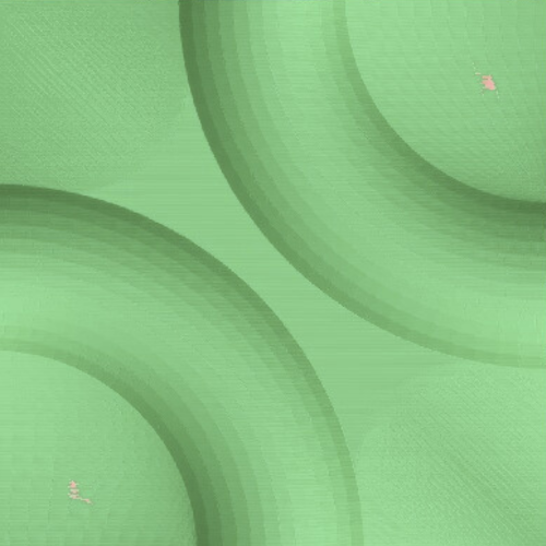 Detail produk F Wart 007 - Frantinco – Distributor HPL, SPC Flooring ...