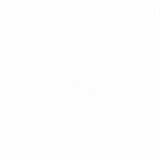 Detail produk 51000 Designer White High Glossy - Frantinco ...